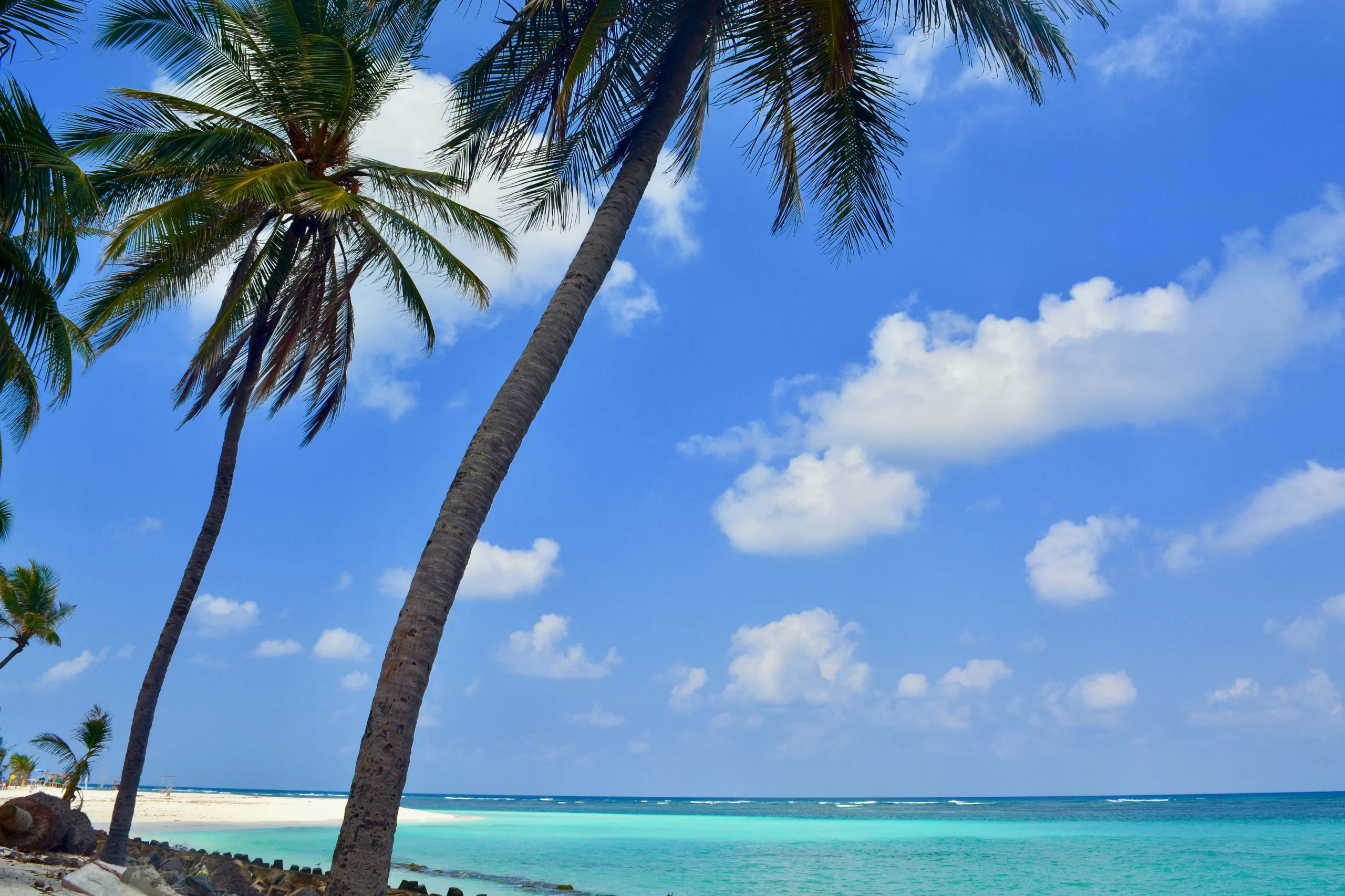 7 Reasons to Visit Lakshadweep Island in 2024 - All-American Digest
